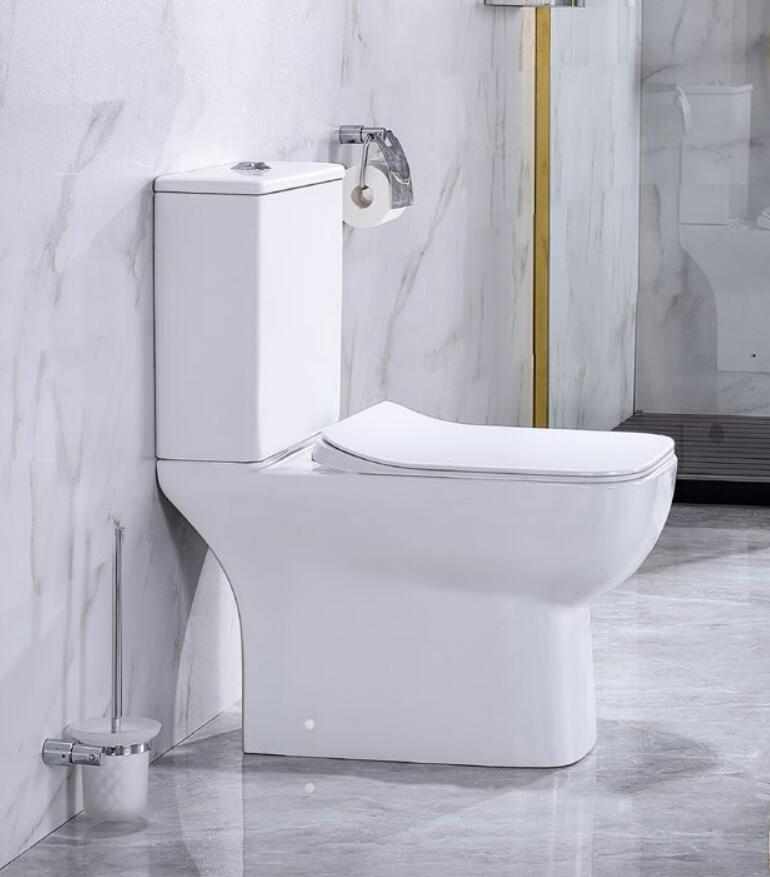 Ultimate Toilet Purchase Guide| Foshan Seletti